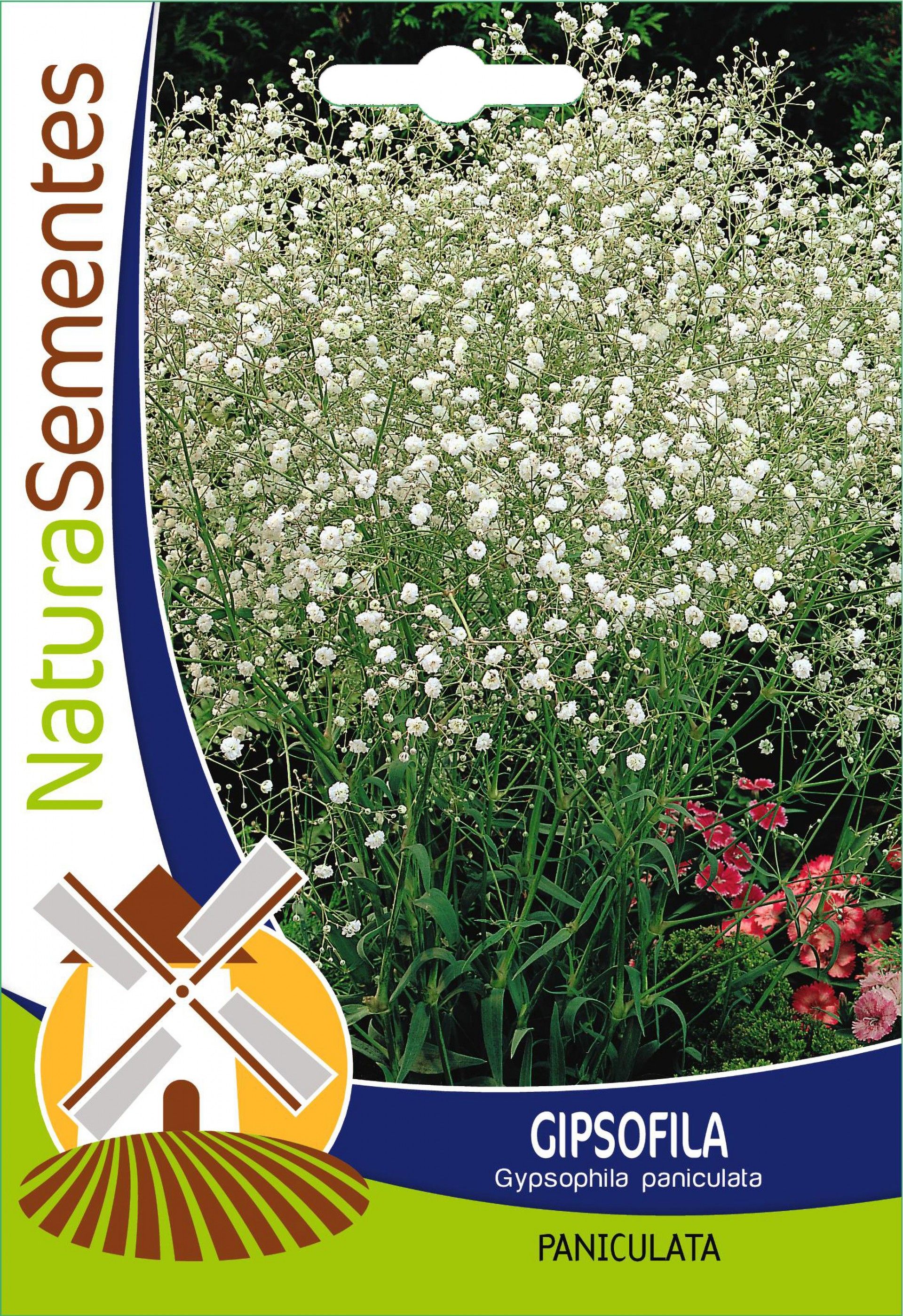 Gipsofila Paniculata - 10059547 | MaxMat